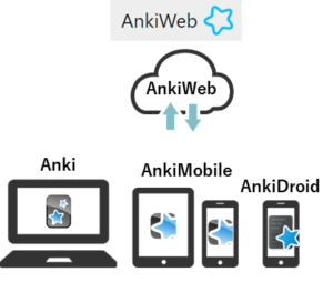 Ankiで効率的な暗記を始めよう！インストールから使い方までわかりやすく解説 | メディデジ